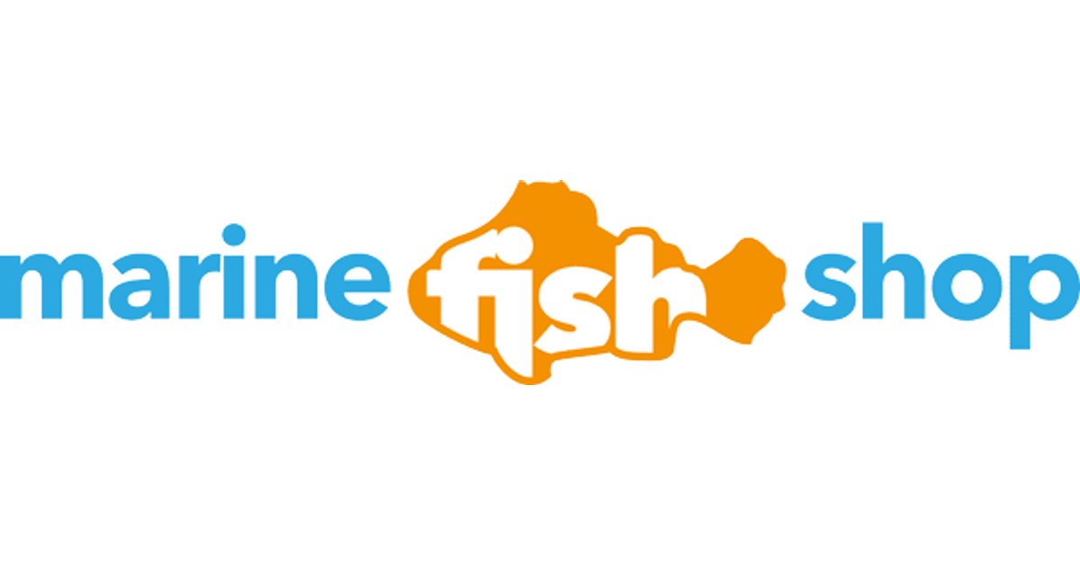 Welcome to – Marine Fish Shop Online